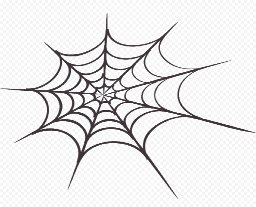 Web Picture Drawing / Hand Draw Sketch Spider And Web Vector Doodle ...