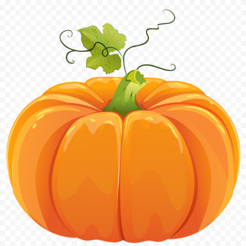 Orange Pumpkin Clipart