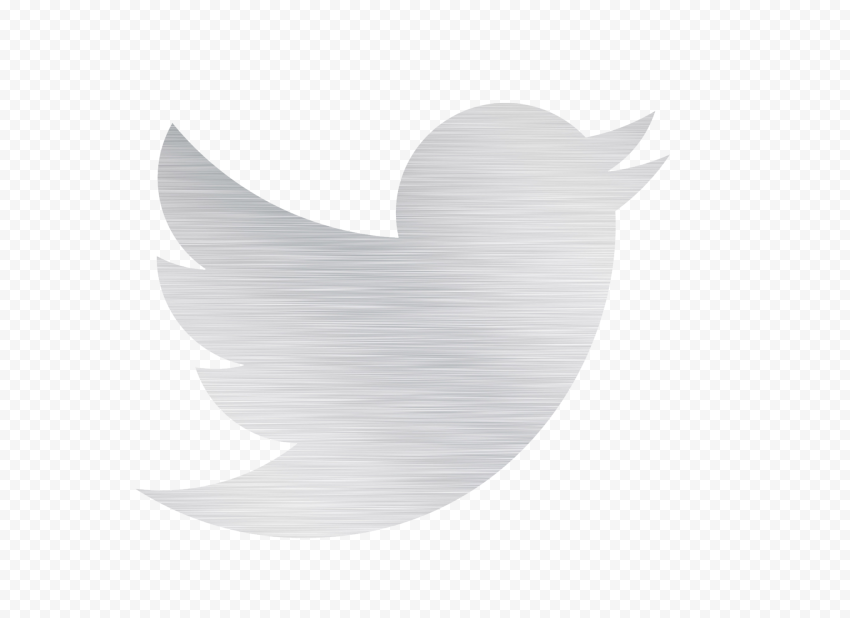 HD White Twitter Bird Logo Icon PNG | Citypng