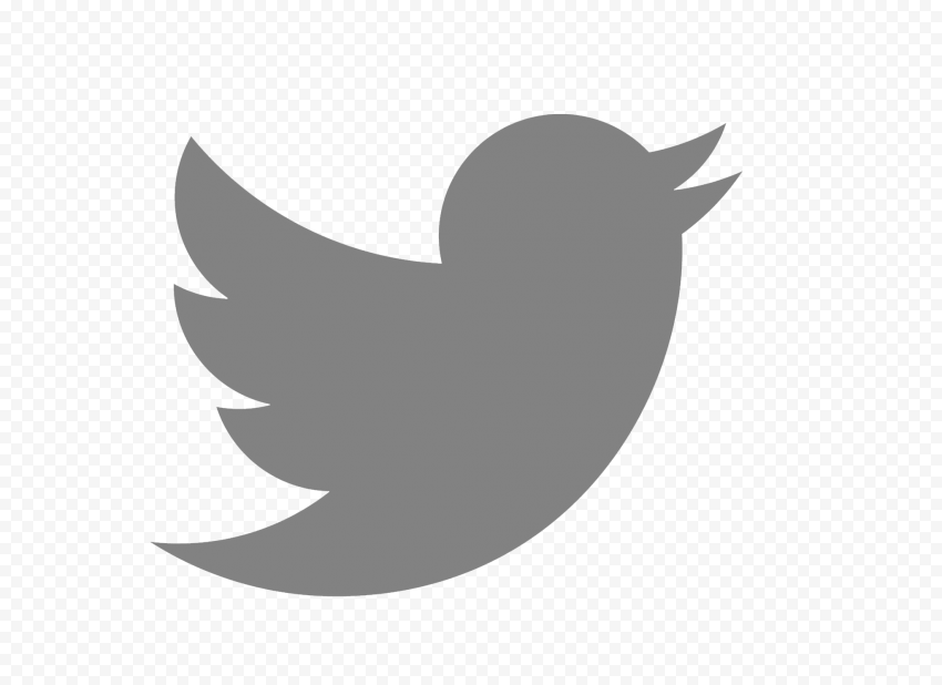 HD Gray Twitter Bird Logo Icon PNG | Citypng