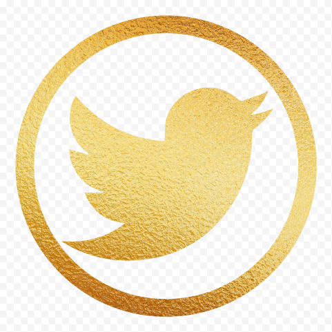 HD Gold Texture Round Twitter Icon PNG | Citypng