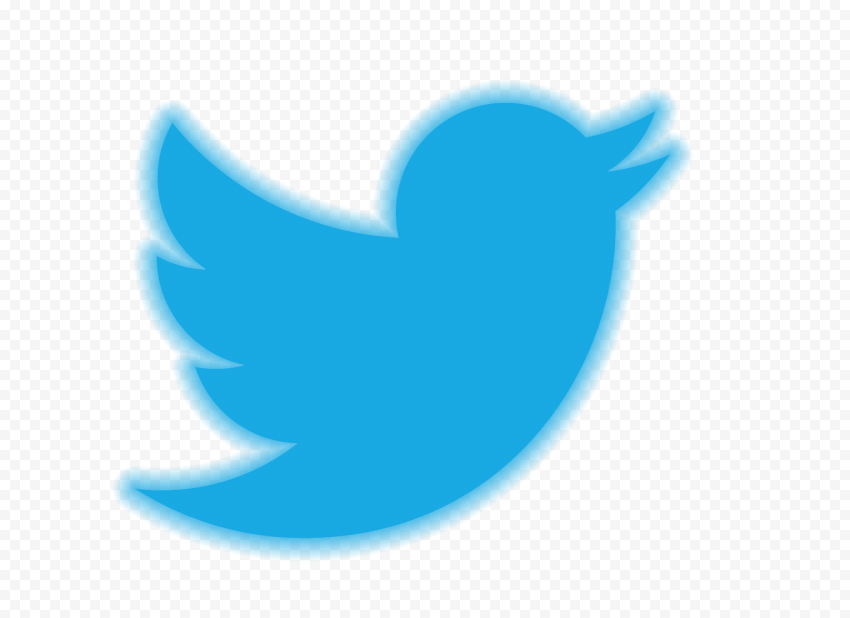 HD Twitter Bird Logo Icon PNG | Citypng