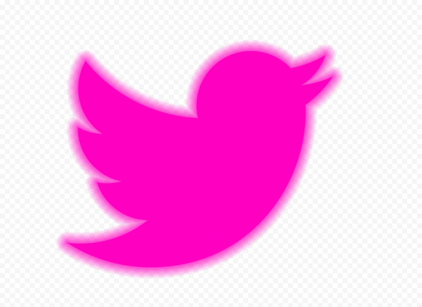 HD Pink Neon Twitter Logo PNG | Citypng