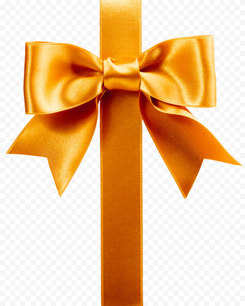 Download Orange Ribbon Bow Tie PNG | Citypng