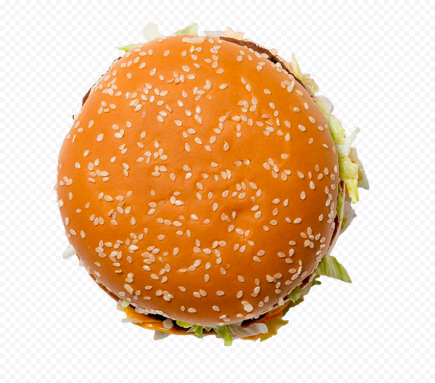 Fast Food Burger Top View Transparent Background | Citypng