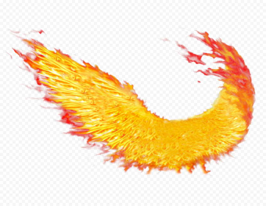 Fire Wing Transparent PNG | Citypng