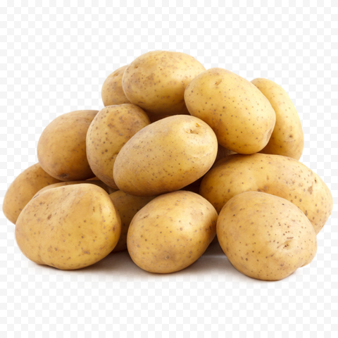 Fresh White Potatoes HD PNG | Citypng