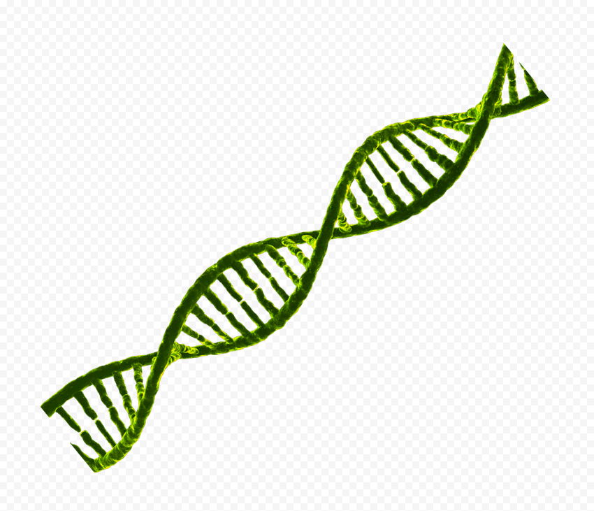 Green DNA String PNG Image | Citypng