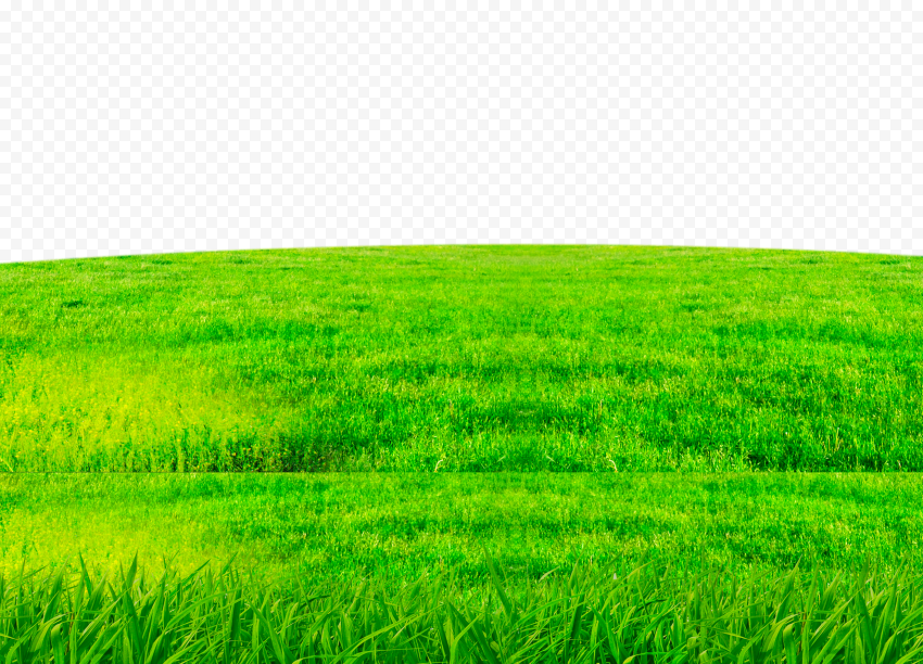 Green Lawn Grass Transparent Background | Citypng