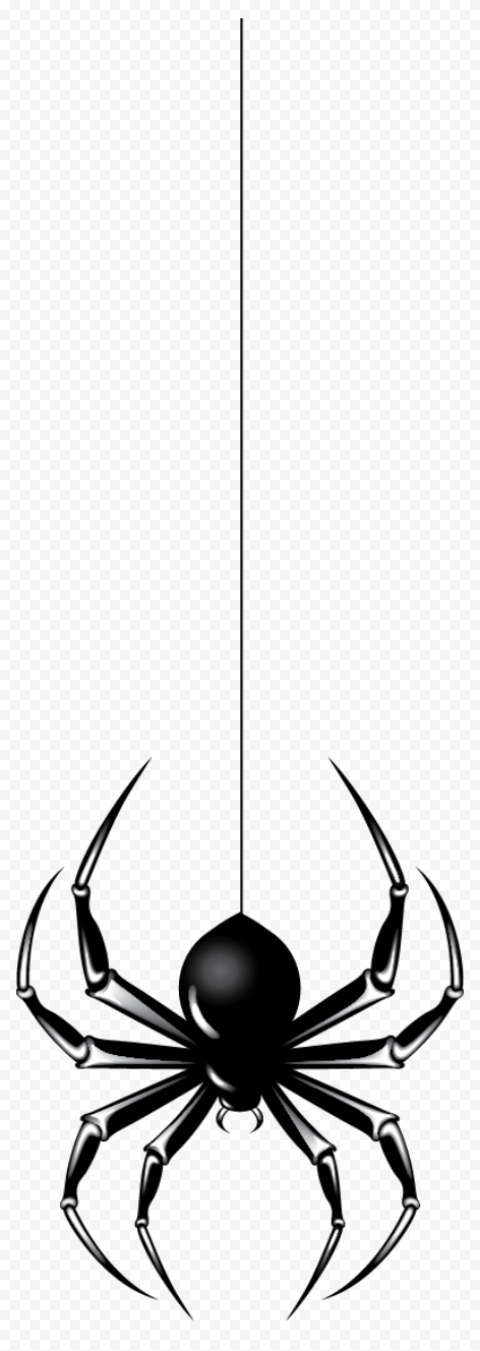 Hanging Spider Insect Illustration HD PNG | Citypng