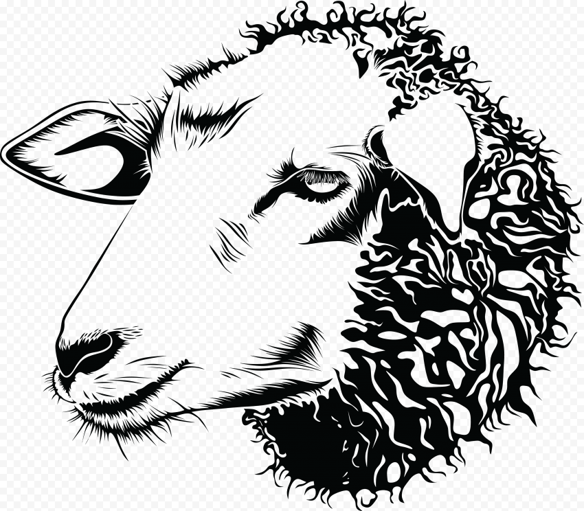HD Black Sheep Face Head Line Silhouette PNG | Citypng