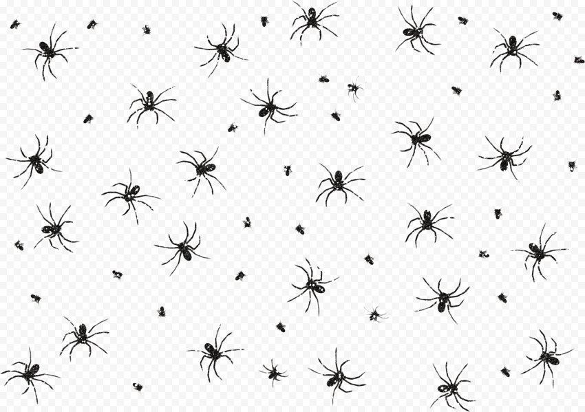 HD Black Spiders Halloween Pattern Background PNG | Citypng