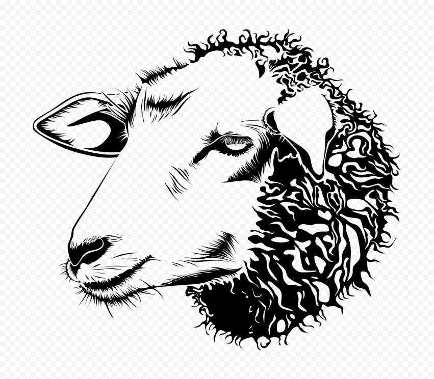 HD Drawing Of A Sheep Head Transparent PNG | Citypng
