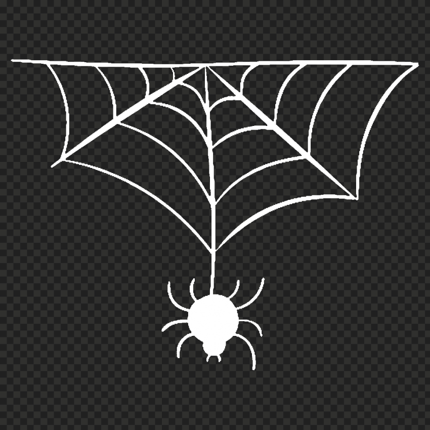 HD Halloween White Spider Web Insect PNG | Citypng