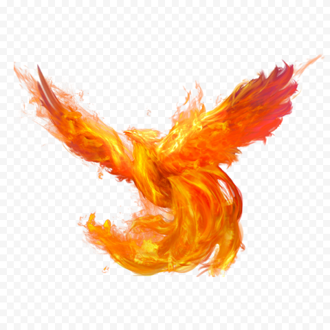 HD Phoenix Bird Fire PNG | Citypng