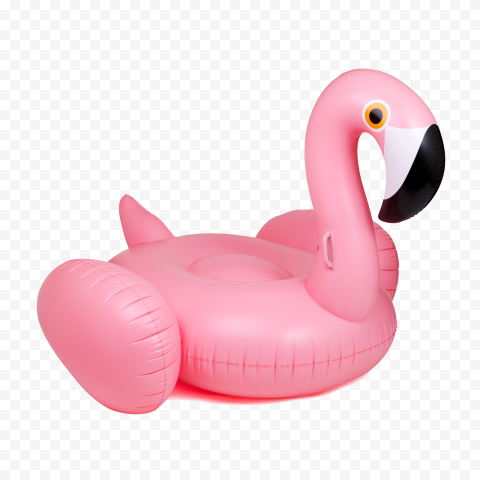 HD Pink Flamingo Inflatable Pool Buoy Ring PNG | Citypng