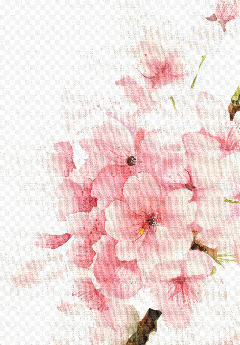 HD Pink Watercolor Flowers Canva Effect PNG | Citypng