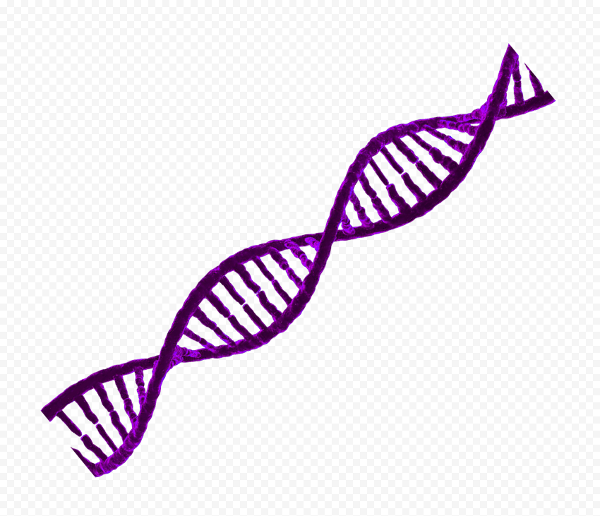 HD Purple DNA String Transparent Background | Citypng