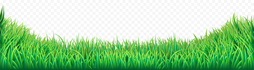 Grass Transparent Background