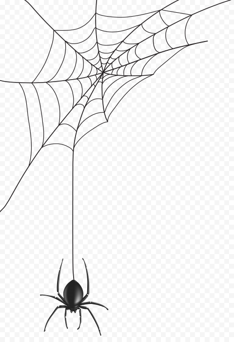HD Realistic Spider Web Illustration Halloween PNG | Citypng