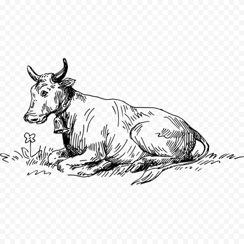 HD Sitting Cow Black Sketch Drawing Art PNG | Citypng