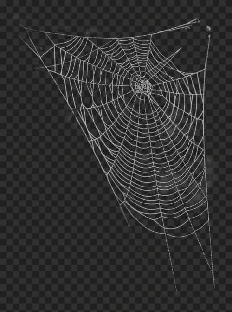 HD Spider Web Lines Cobwebs PNG | Citypng