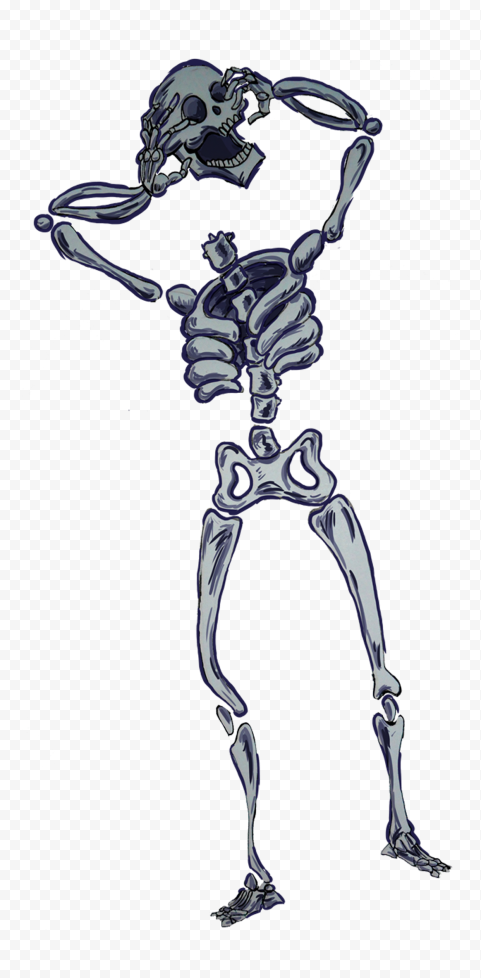 HD Standing Human Halloween Skeleton Illustration PNG | Citypng