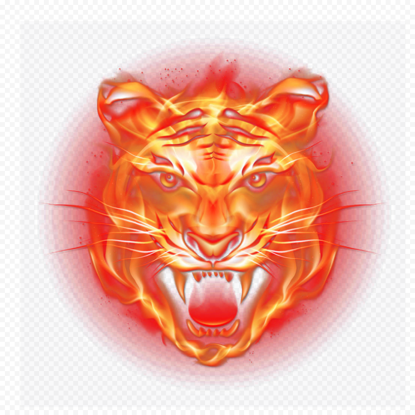 HD Tiger Fire Flame Face PNG | Citypng