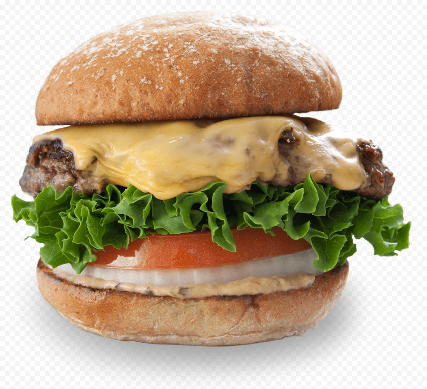 Homemade Hamburger Burger HD PNG | Citypng
