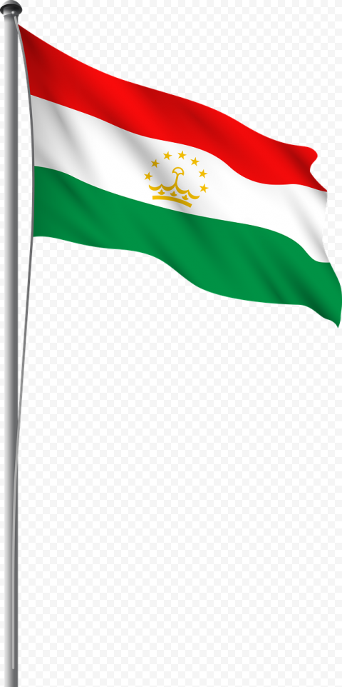 Illustration Iran Flag Waving On Pole PNG | Citypng