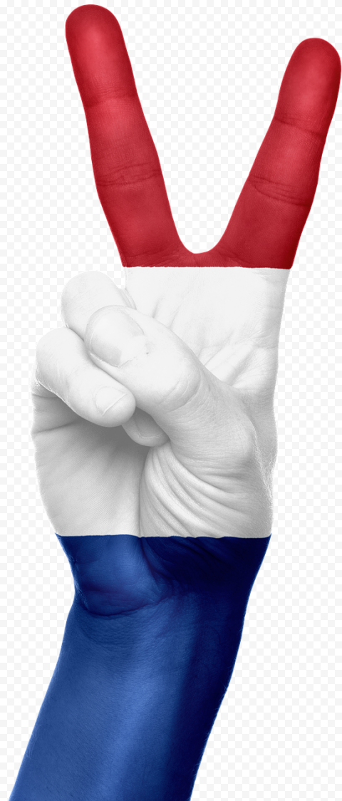 Netherlands Flag Painted On Hand FREE PNG | Citypng