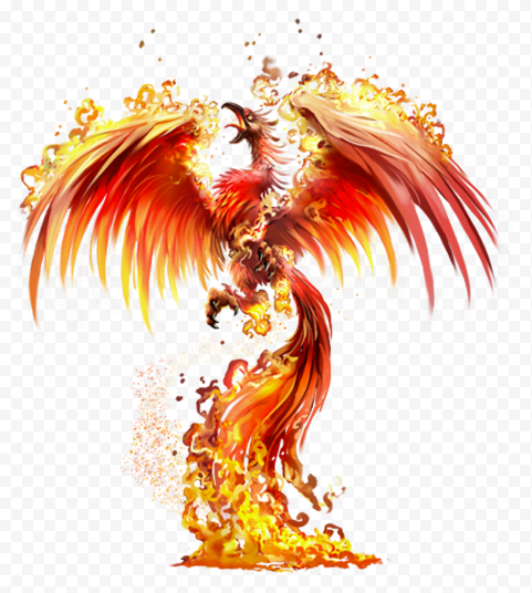 Phoenix Bird Fire PNG | Citypng