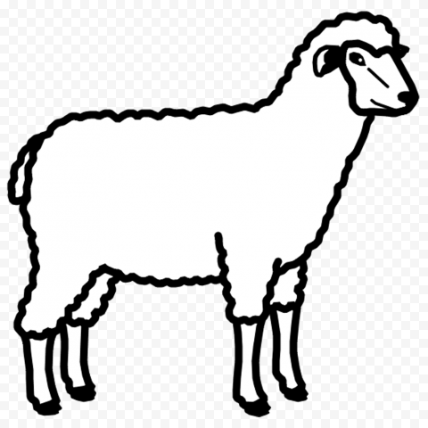 Sheep Side View Drawing