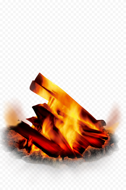 PNG Real Bonfire Campfire Firewood | Citypng