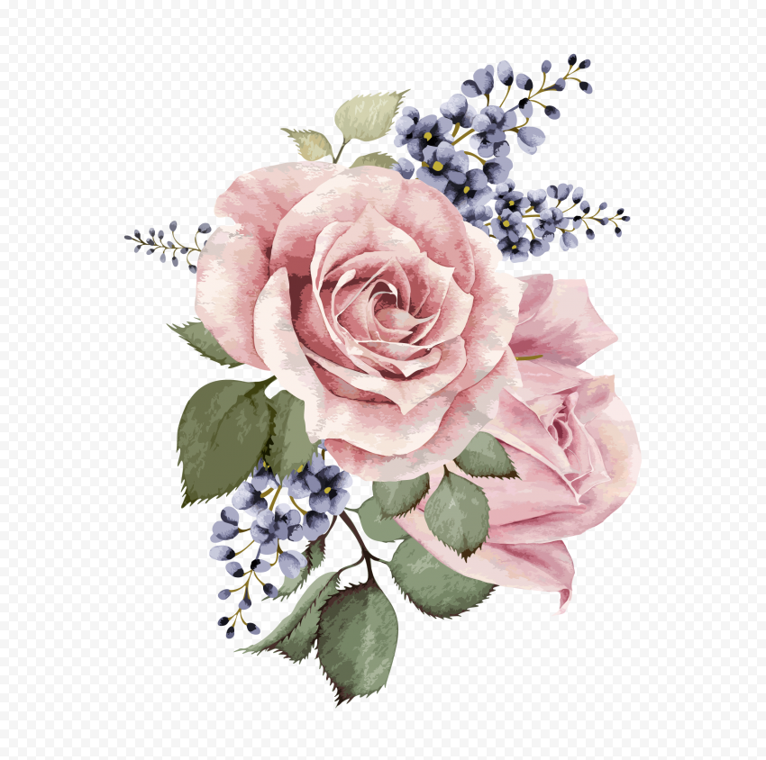 PNG Watercolor Pink Garden Roses | Citypng