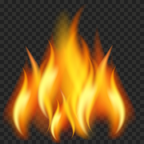 Real Flame Vector