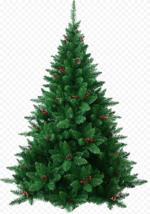 Realistic Christmas Holiday Tree FREE PNG | Citypng
