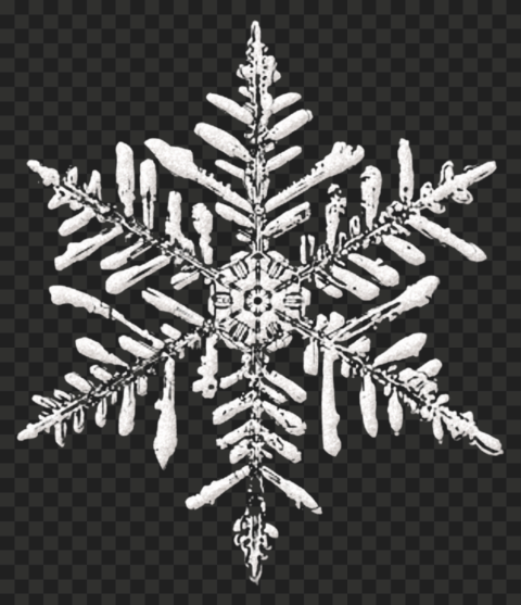 Realistic Snow Snowflake Shape PNG | Citypng