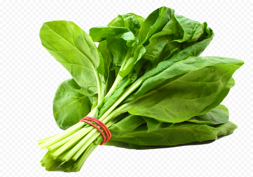 Vegetable Salad Spinach Leaf HD PNG | Citypng