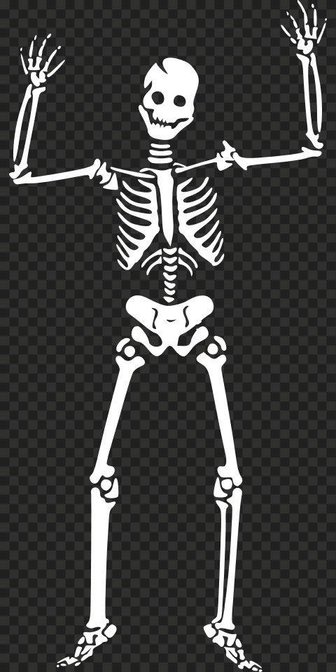 White Skeleton Silhouette PNG | Citypng