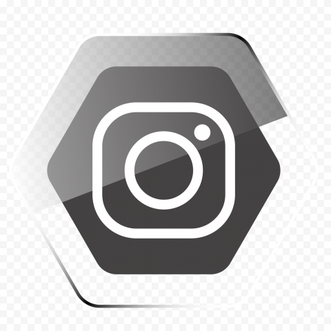 HD White Instagram Round Logo Icon PNG | Citypng