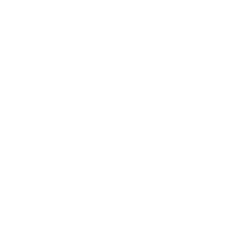 HD Red Round Tick Check Mark Symbol Logo Icon Transparent PNG | Citypng