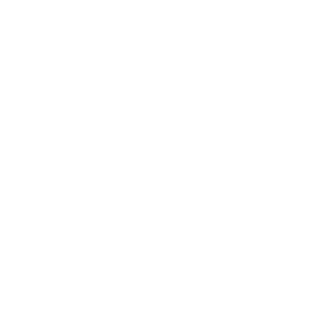 Windows Icon White