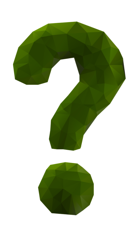 PNG Clipart Green Question Mark Circle Icon | Citypng