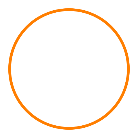 Orange Circle Outline