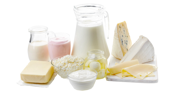 Multi Kind Of Cheese Dairy Products PNG | Citypng