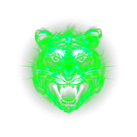 Green Fire Flames Effect FREE PNG | Citypng