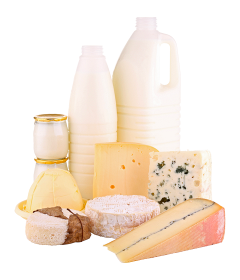 Cheese Milk Dairy Products PNG Image | Citypng