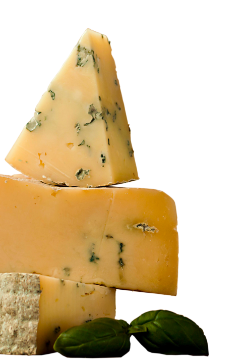 HD Blue Gorgonzola Cheese PNG | Citypng