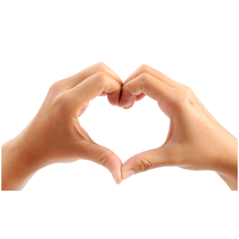 heart hand cutout PNG & clipart images | CITYPNG